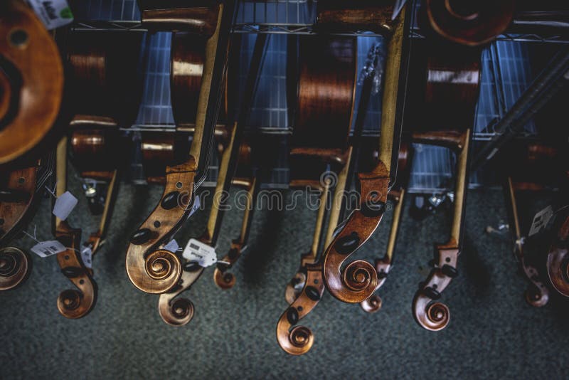 Closeup of Multiple Violin Necks, Pegbox and Scroll Detail View Stock ...