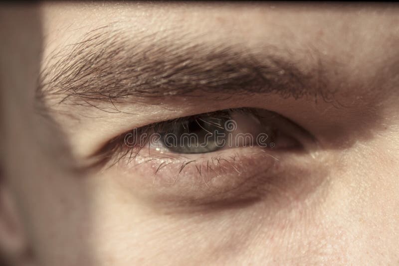 Narrowed Gaze Stock Photos - Free & Royalty-Free Stock Photos from ...