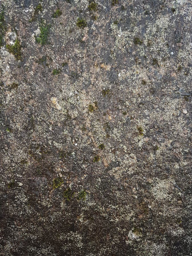 Closeup of the Naturally Textured Stone Surface Stock Photo - Image of ...