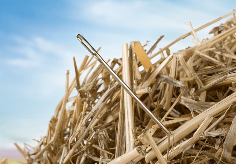 Needle in a Haystack stock image. Image of haystack, hard - 59995865