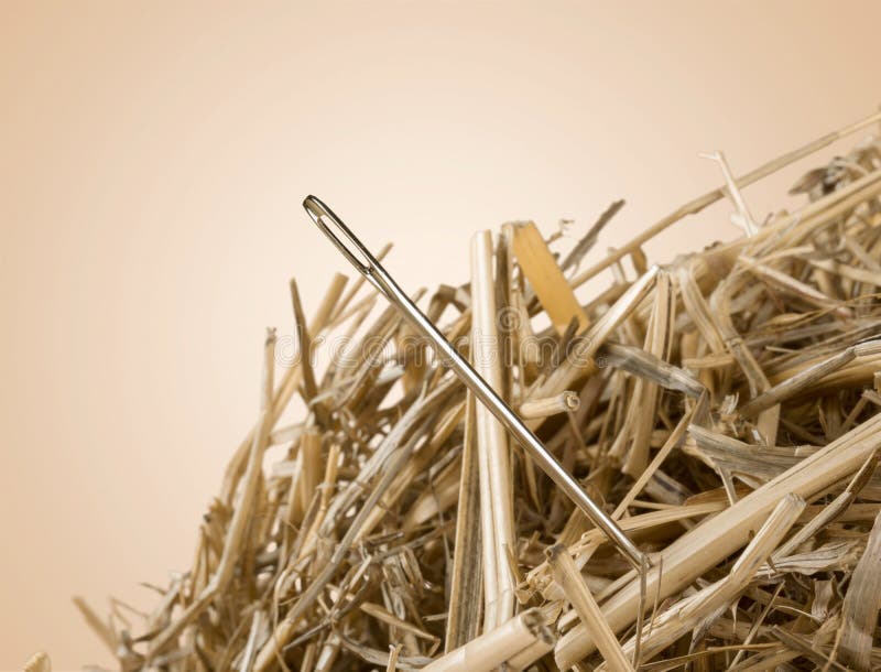 Needle in a Haystack stock image. Image of haystack, hard - 59995865