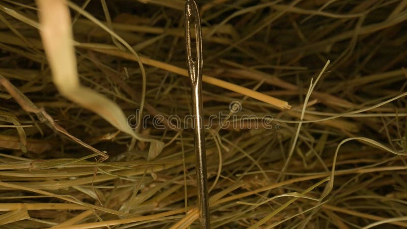 Closeup of a Needle in Haystack. Macro Photography. Stock Photo - Image ...
