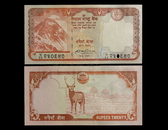 Closeup of a Nepalese Ruppee Banknote. Editorial Stock Photo - Image of ...