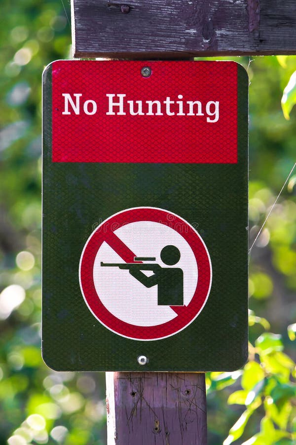 Closeup of a No Hunting Sign on a Green Background Stock Image - Image ...