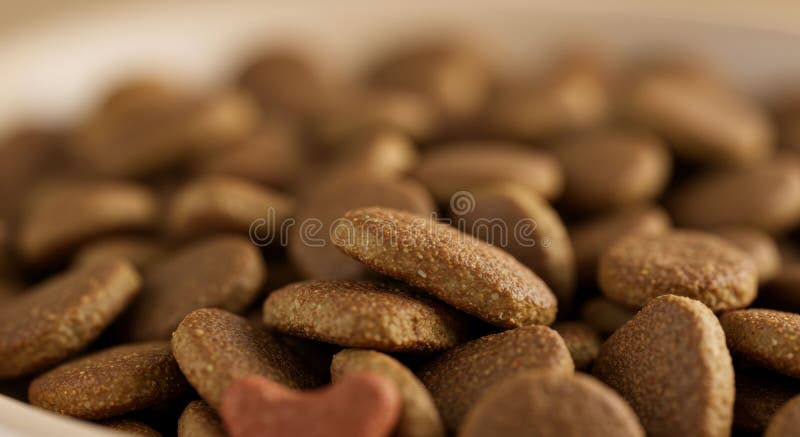 Closeup of Nutrient-rich Pet Kibble with Heart-shaped Detail Stock ...