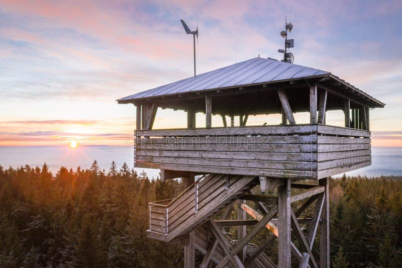 Closeup of an Observation Tower Above the Trees with a View of the ...