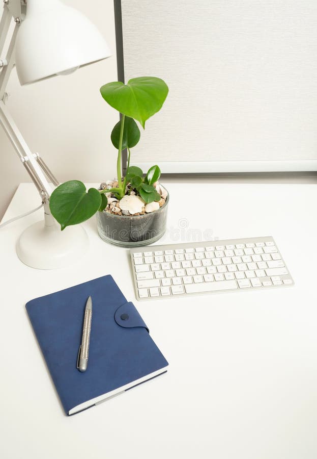 Closeup of an Office Table with a Plant, Notebook, Light Stock Image ...