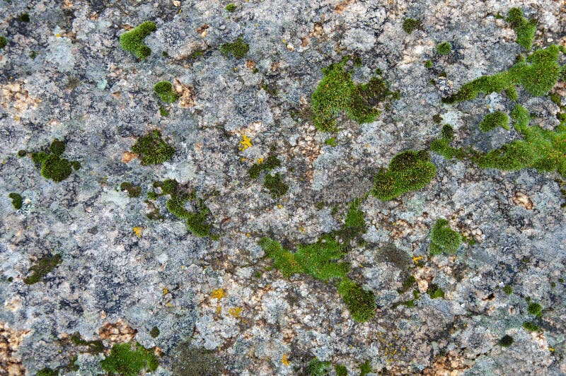 Closeup of Old Mossy Gray Stone Stock Photo - Image of stone, rugged ...