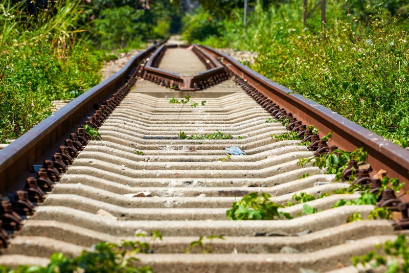Closeup of Old Rusty Railway Bifurcated Rails and Rivets in the Wild ...