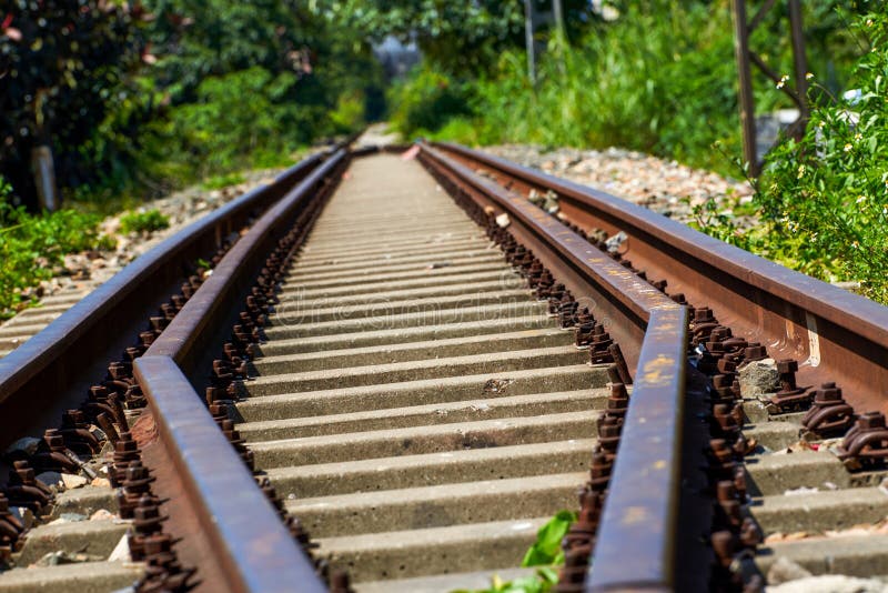Closeup of Old Rusty Railway Bifurcated Rails and Rivets in the Wild ...