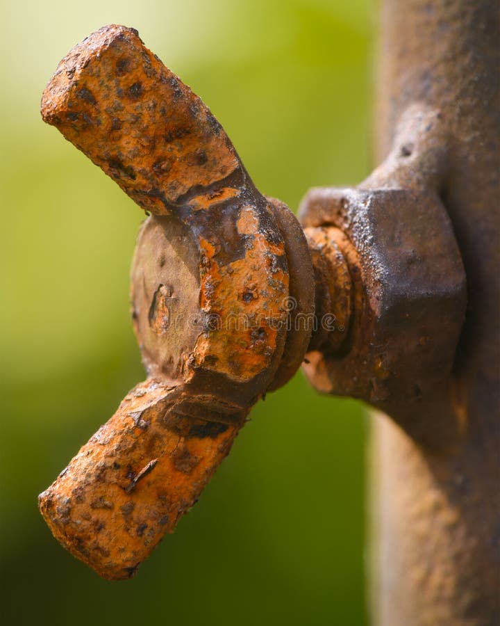 Closeup of an Old Rusty Wing Nut Stock Image - Image of rusted, texture ...