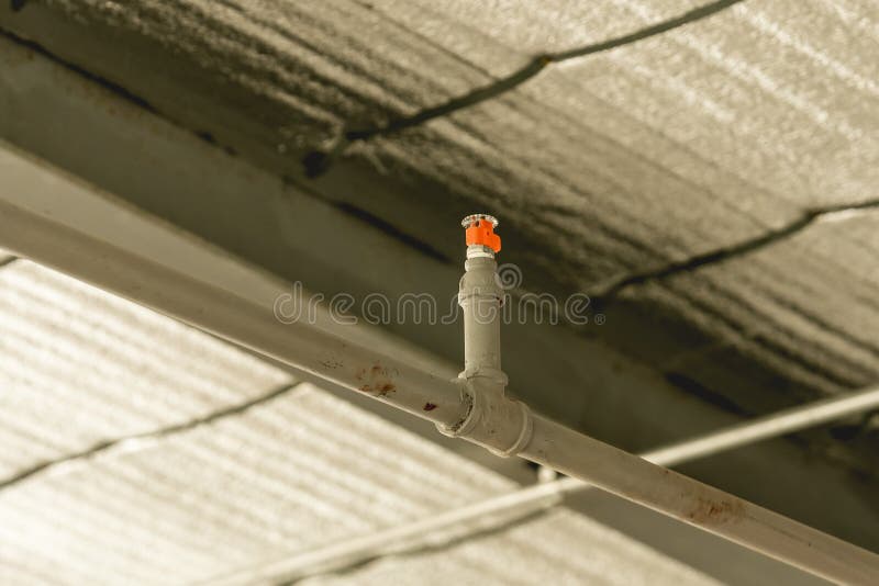 Closeup of One Sprinkler Head of an Automatic Fire Sprinkler System ...