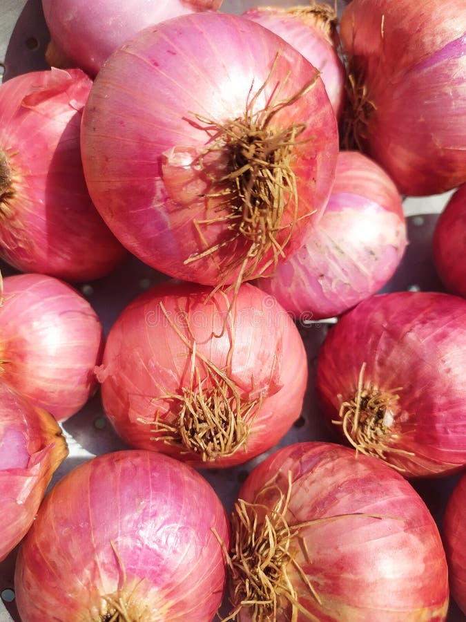 Closeup of onions stock image. Image of antioxidants - 181324619