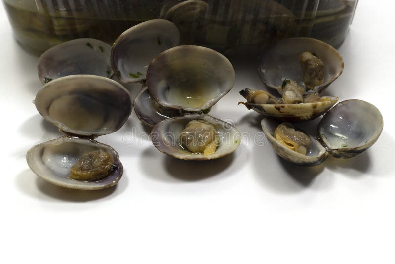 Closeup of Open Shellfish Seafood on a White Surface Stock Photo ...