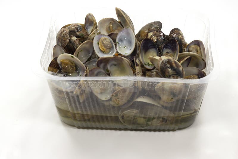Closeup of Open Shellfish Seafood on a White Surface Stock Photo ...