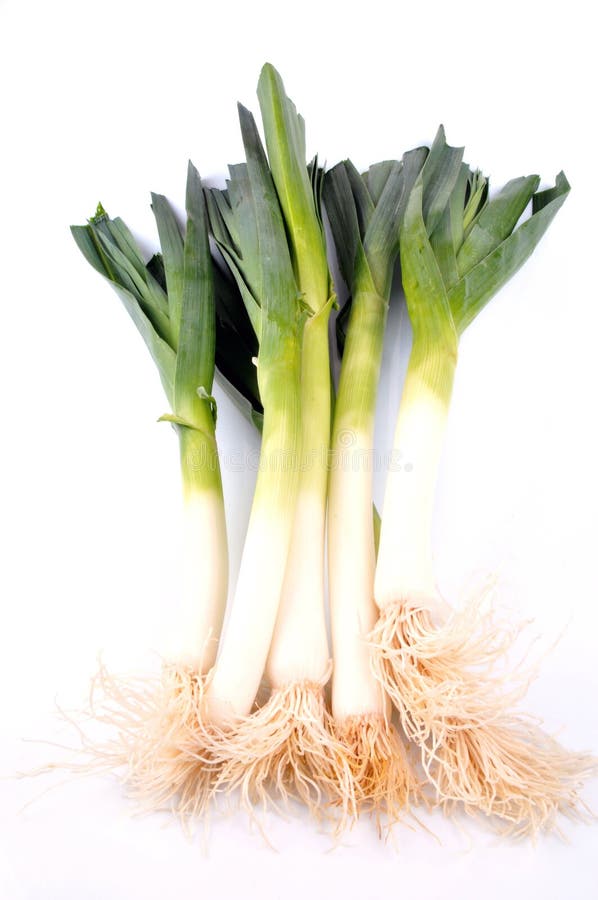 Bunch of leeks stock image. Image of mediterranean, isolated - 4421337