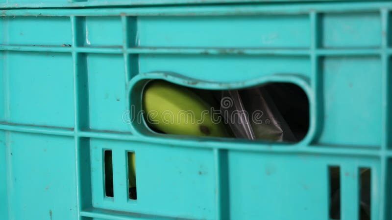 Closeup of Packaged Bananas Inside a Blue Box, Seen from the Handle ...