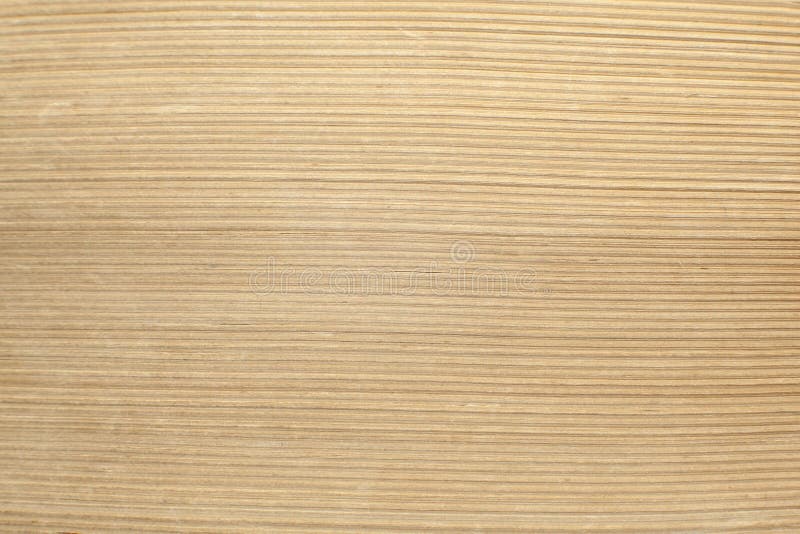 Closeup of Pages in Very Old Opend Book Stock Photo - Image of open ...