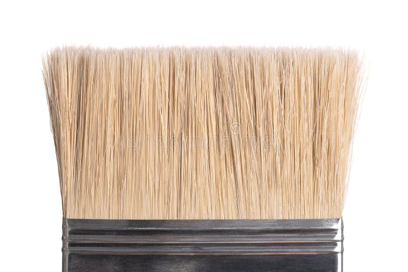 Closeup of Paintbrush Bristles of a Very Broad, Thick and Flat ...