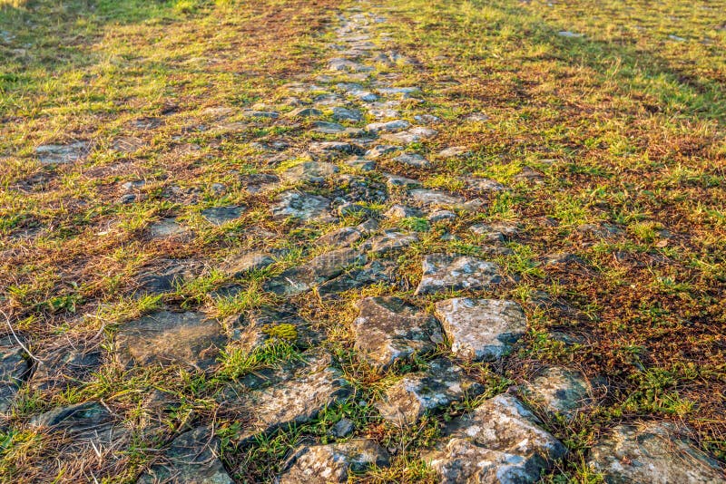 Closeup of a Path of Rough Stones Covered with Grass Stock Image ...