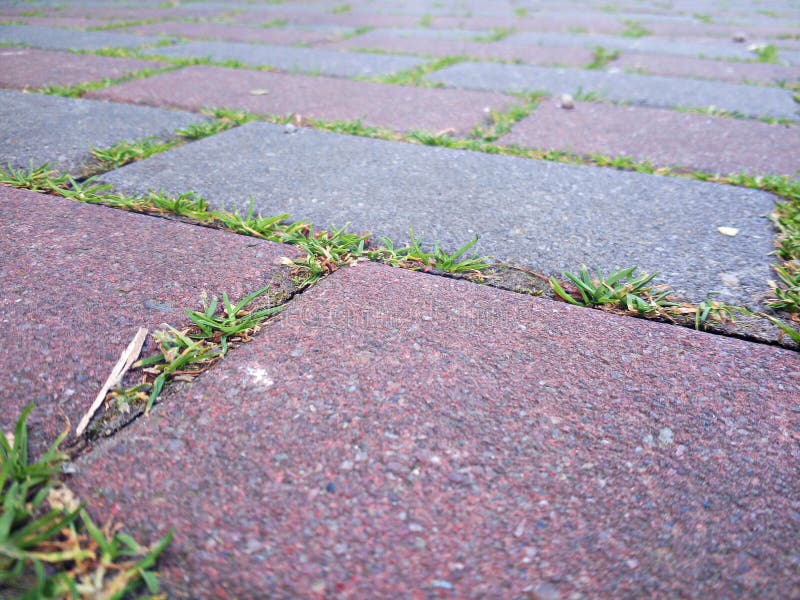 Closeup of Pavement with Grass Stock Image - Image of grass, plants ...