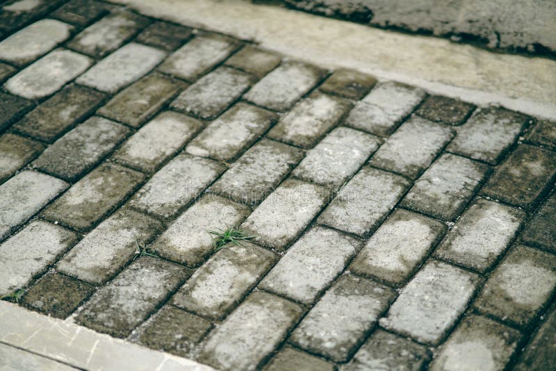 Closeup of Pavement Stone Ground Stock Photo - Image of closeup, rough ...