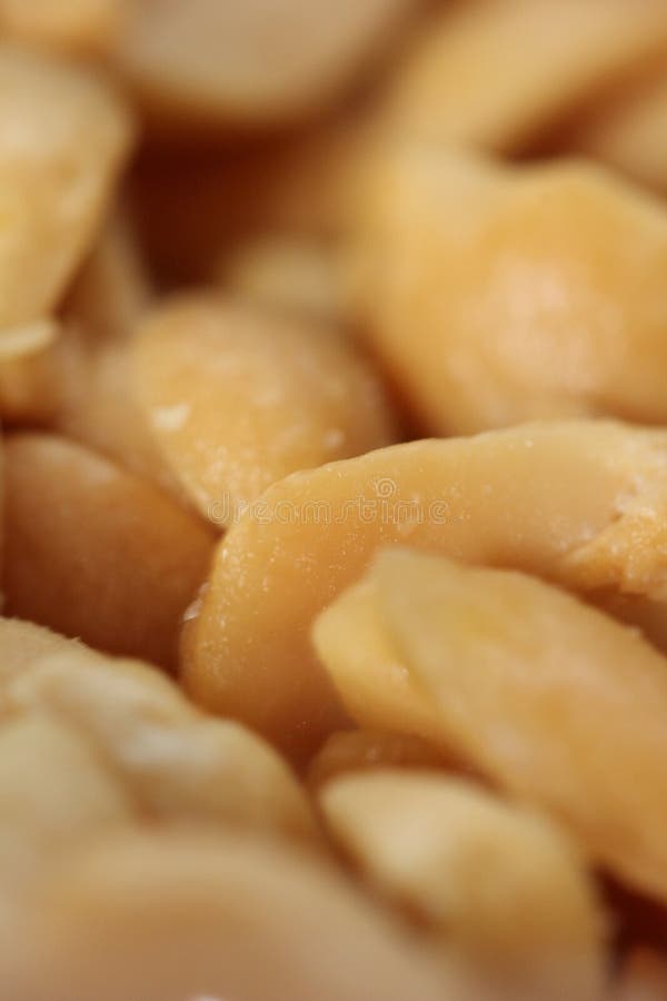 Closeup of peanut kernels stock photo. Image of kernels - 74663182