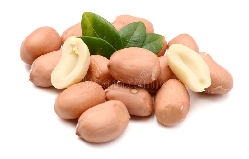 Peanuts Isolated on a White Background Stock Photo - Image of peanut ...