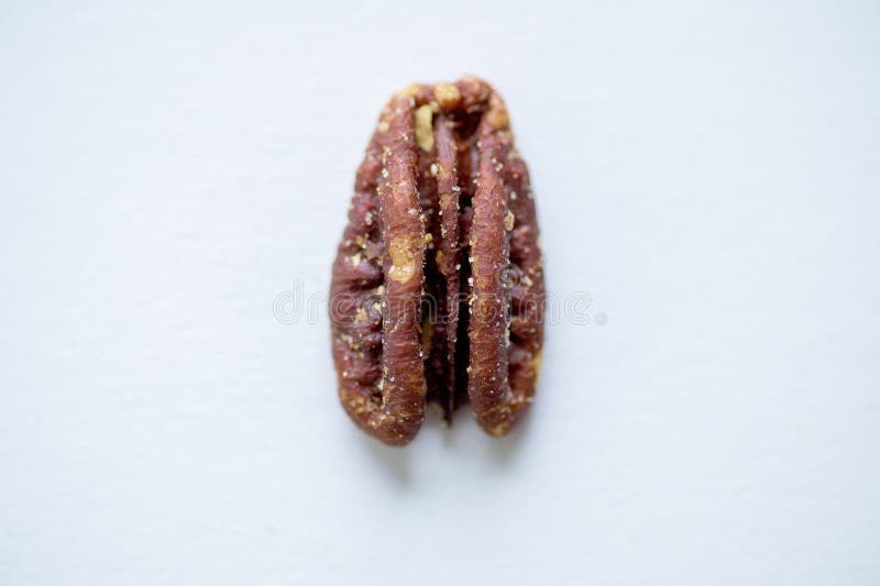 Closeup of a Pecan Under the Lights Against a White Background Stock ...