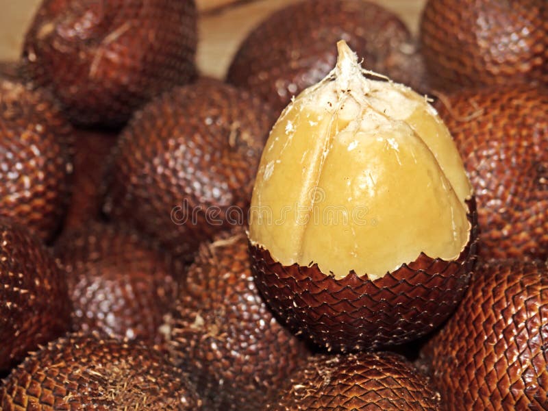 Closeup Peeled Salak Fruit on Salak Background Stock Photo - Image of ...