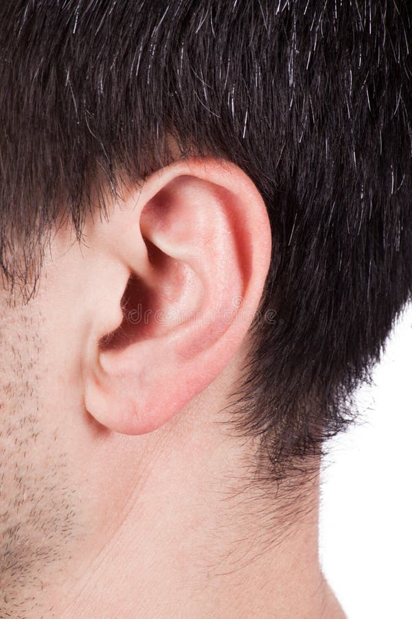 Perfect human ear stock image. Image of lobe, caucasian - 18950449