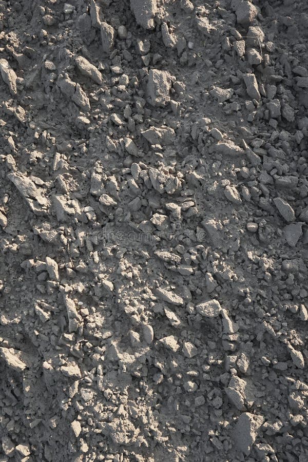 A CloseUp Perspective on an Uneven Soil Surface Featuring Various ...