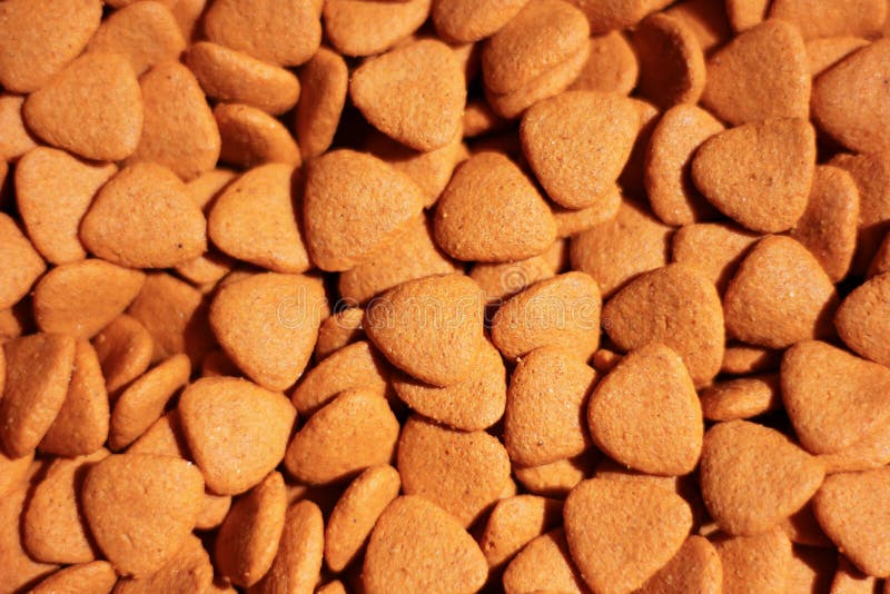 Closeup of Pet Food stock photo. Image of snack, crunchy - 61632936