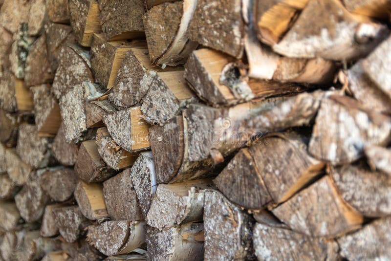 Closeup Photo of Dry Logs with Mold Stacked in Rows. the Structure of ...