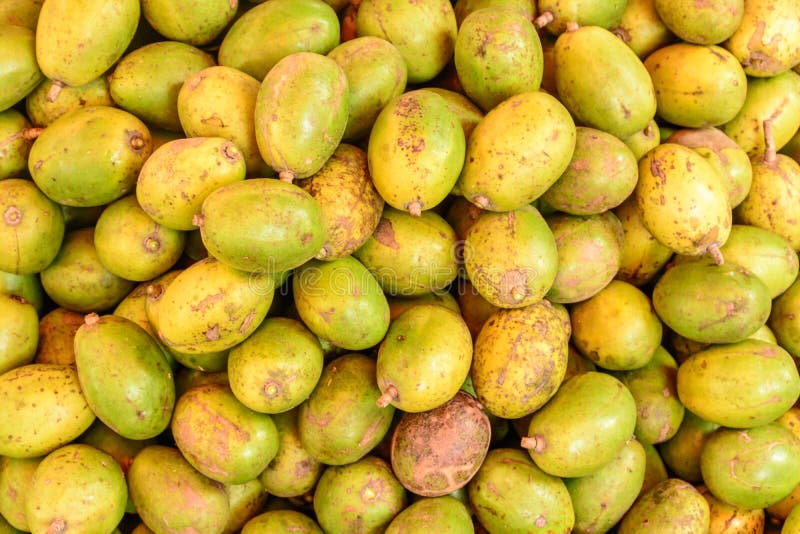 Ambarella Fruit. That Grows In The Yard Of The Office With A Fresh ...