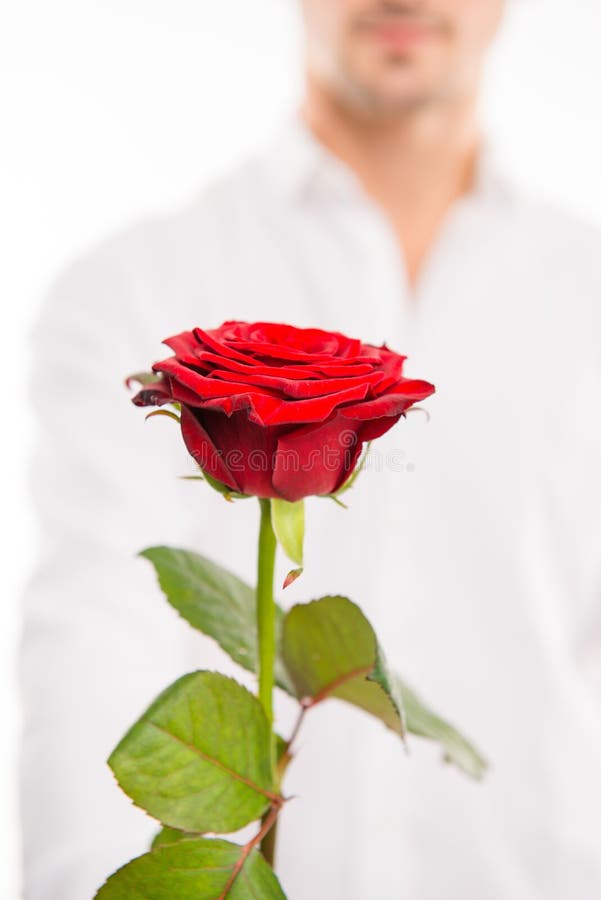 Closeup Photo of a Handsome Man with a Red Rose Stock Photo - Image of ...