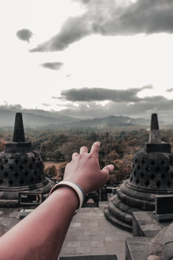 Closeup Photo Of Human Left Hand Picture. Image: 109923551