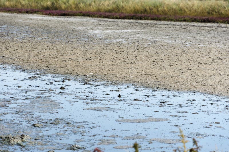 Salt lake texture stock photo. Image of natural, saline - 122525950