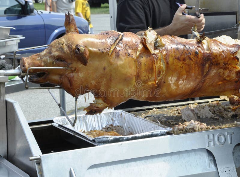 Closeup of a Pig on the Roast Stock Photo - Image of grill, grilled ...