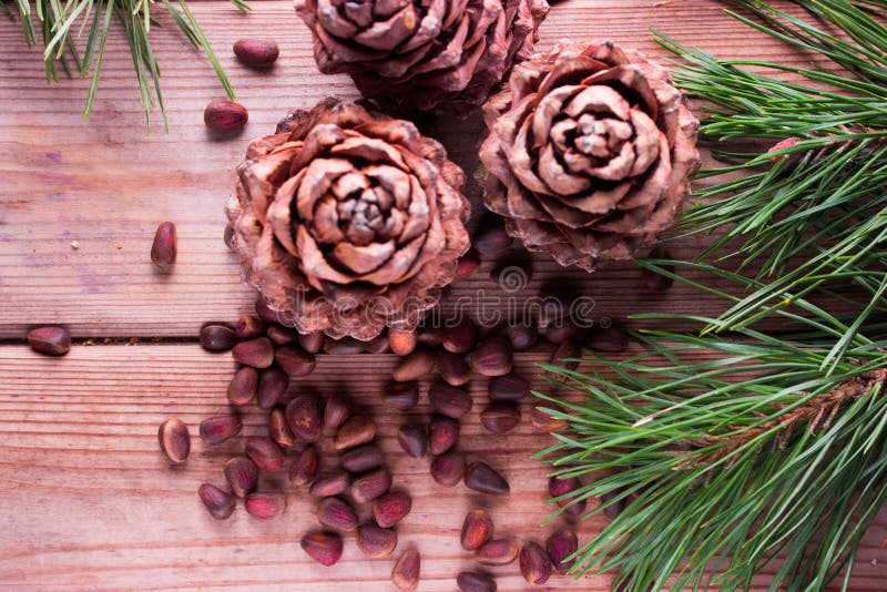Closeup of pignolia nut stock photo. Image of decoration - 87719498