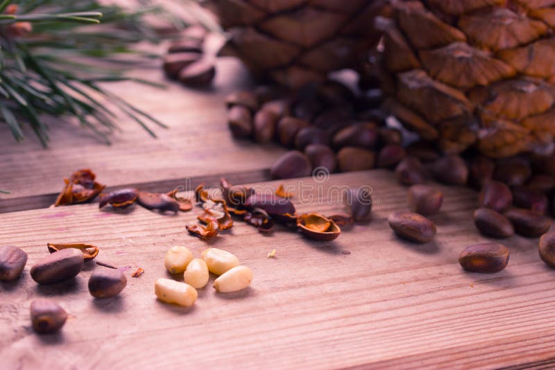 Closeup of pignolia nut stock photo. Image of decoration - 87719498