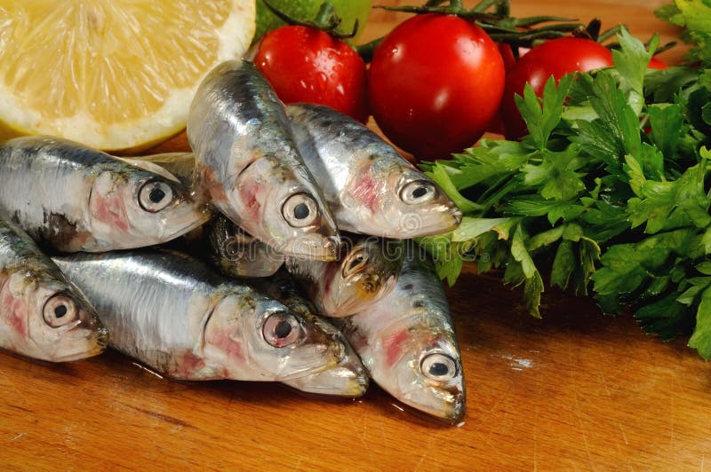 Closeup of pilchard stock image. Image of lemon, sardine - 34776589