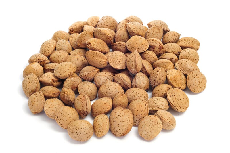 Mixed Nuts stock photo. Image of nutrition, almonds, food - 1758864