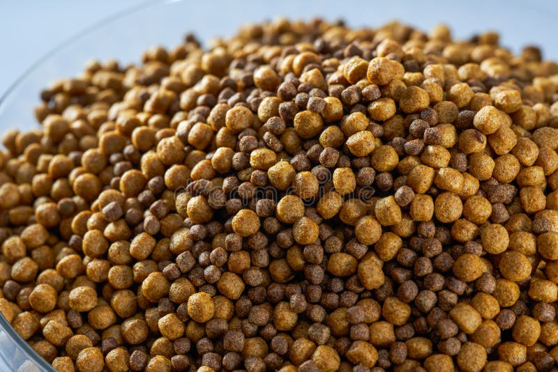 Closeup of a Pile of Fresh Fish Feed Pellets Stock Image - Image of ...
