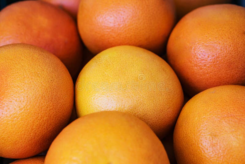 Closeup of a Pile of Ripe Grapefruit. Health Concept. Stock Image ...