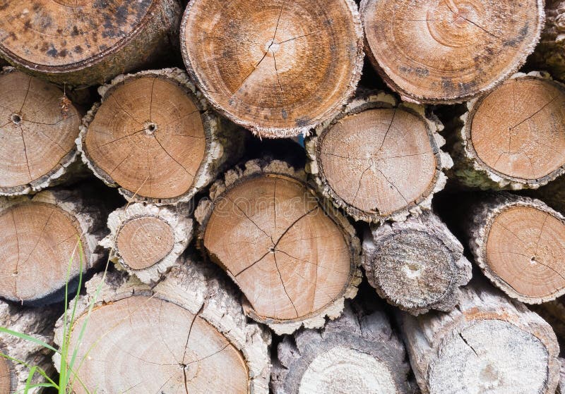 Pile of timber stock photo. Image of texture, woodgrain - 58261422