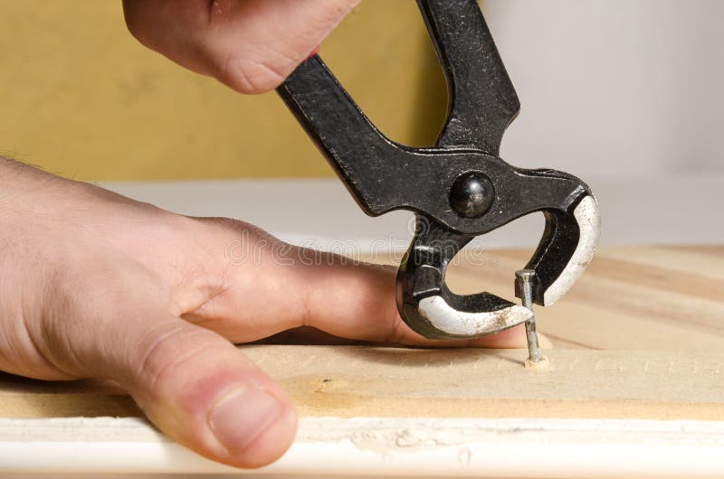 Closeup of pincers stock photo. Image of hinge, puntilla - 37822678