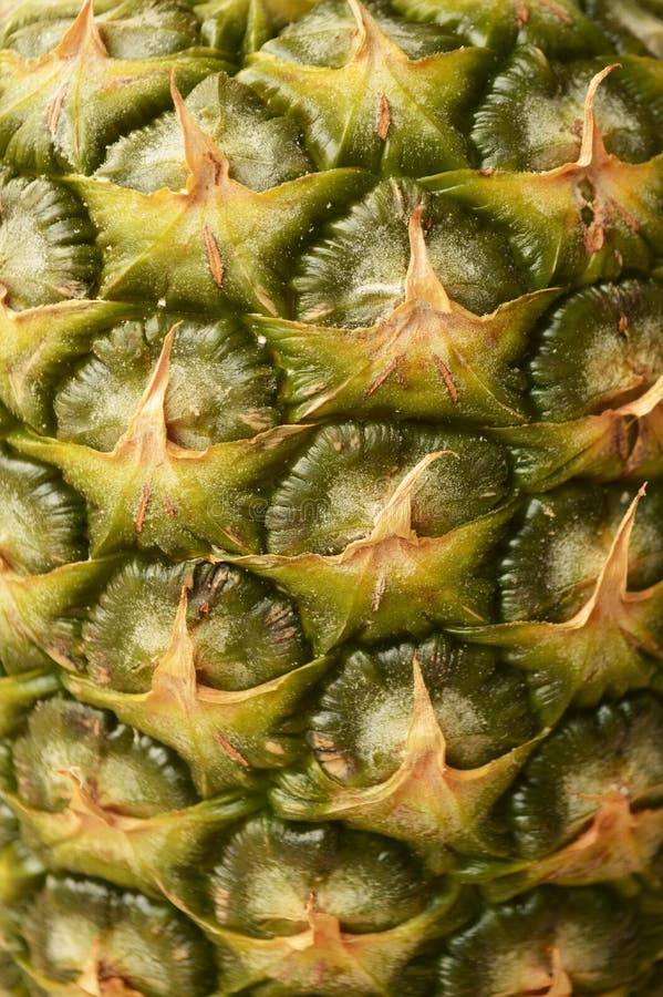 Closeup Of Green Pineapple Texture Stock Photo - Image of market, fruit ...