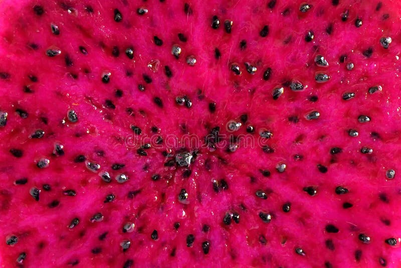 Closeup of a Piyaya, Exotic Fruit Stock Photo - Image of pitahaya ...