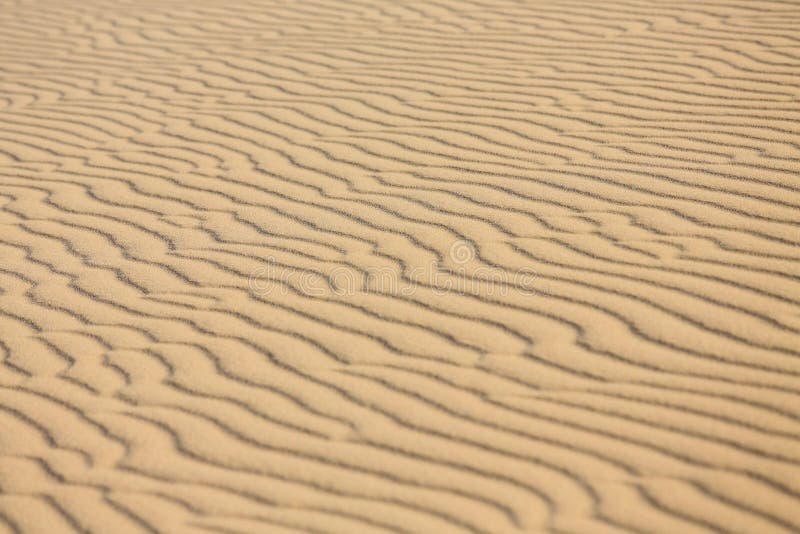 Closeup of Plain Pattern of White Sand Dunes with Wind Pattern ...